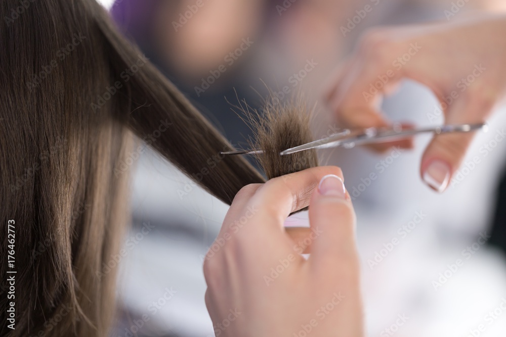 Cut. Stock-Foto | Adobe Stock Cut. Stock-Foto | Adobe Stock