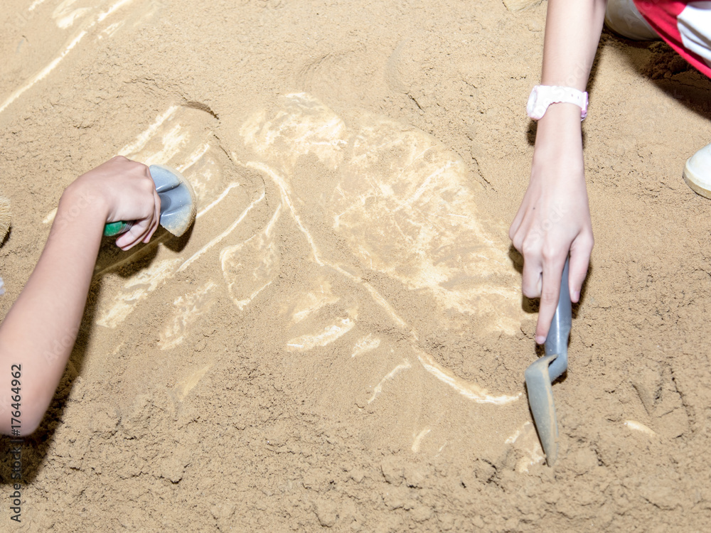 Excavating dinosaur fossils Stock Photo | Adobe Stock