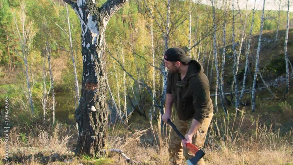 Vidéo Stock Lumberjack worker chopping down a tree breaking off many ...