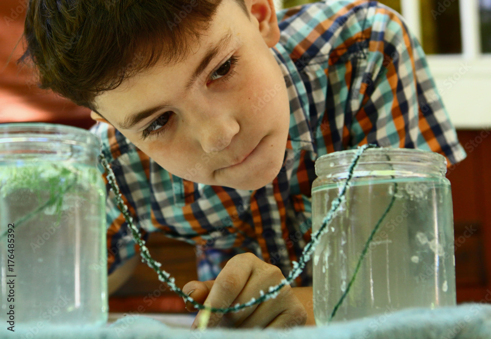 keen preteen boy grow salt crystal watch crystallization from solution ...