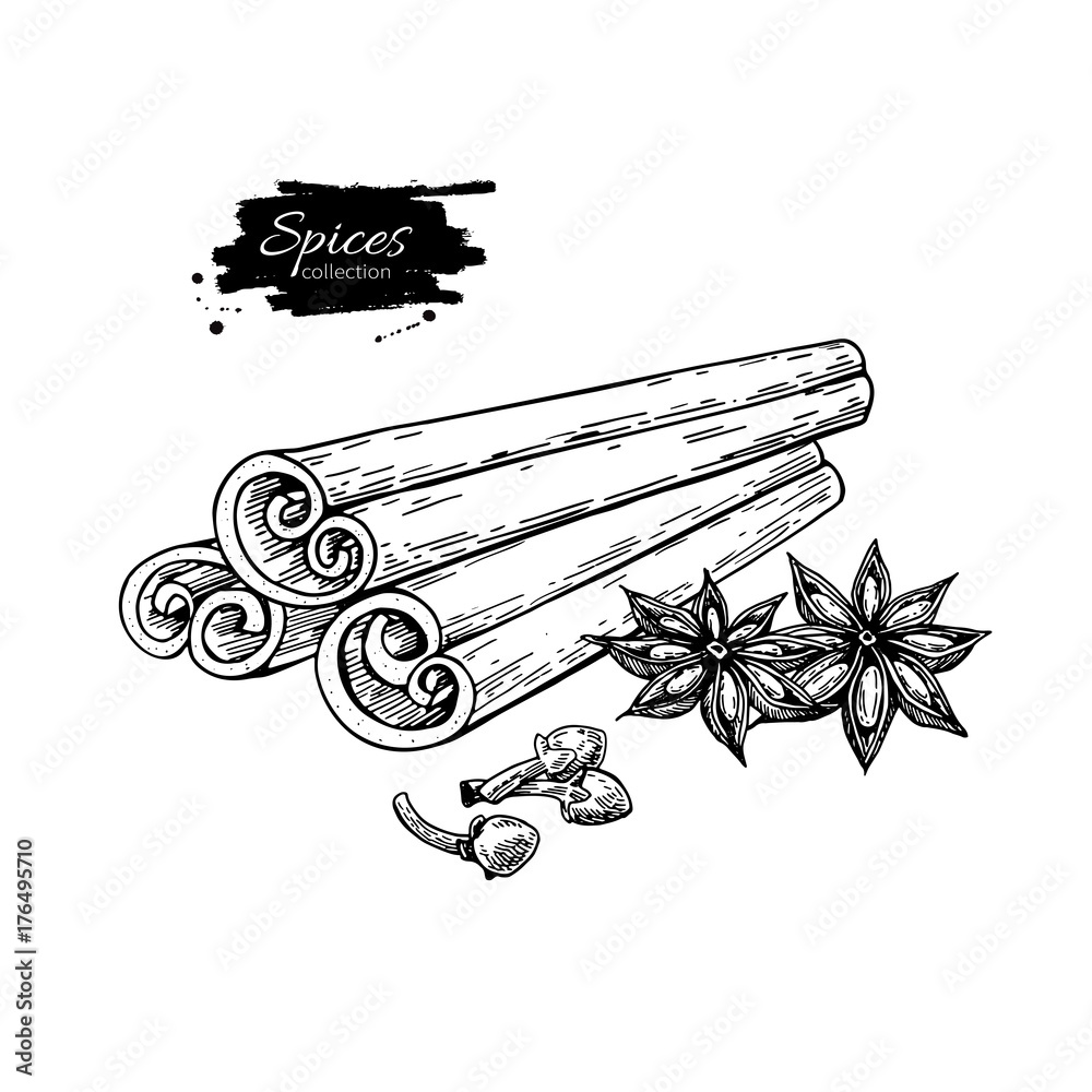 Cinnamon stick tied bunch, anise star and cloves. Vector drawing. Hand ...