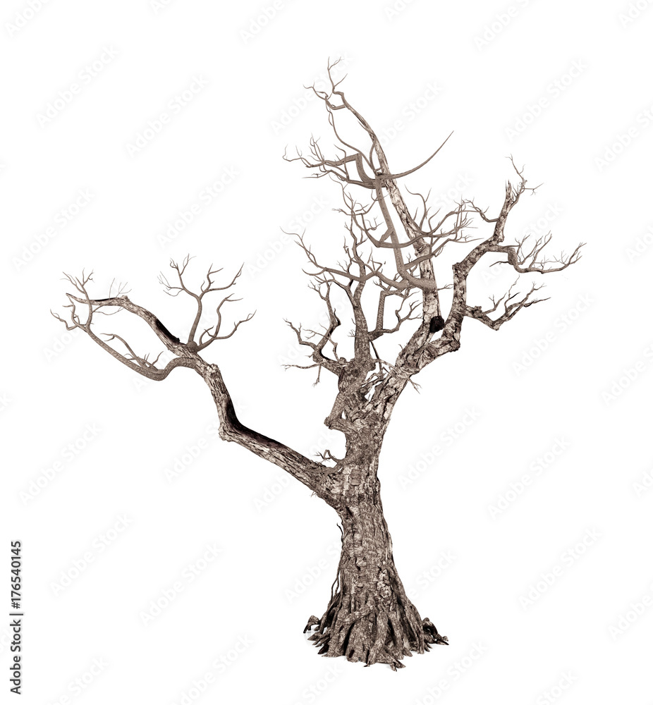Dead tree isolated on white background, 3D rendering Stock Illustration ...