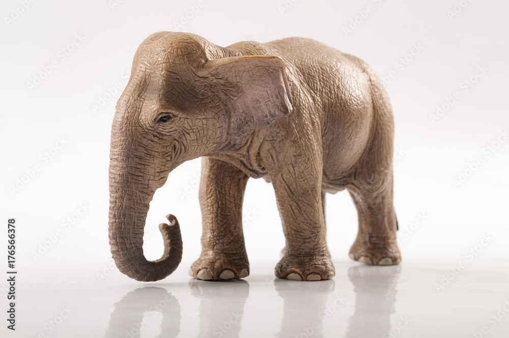 Conservative Elephant