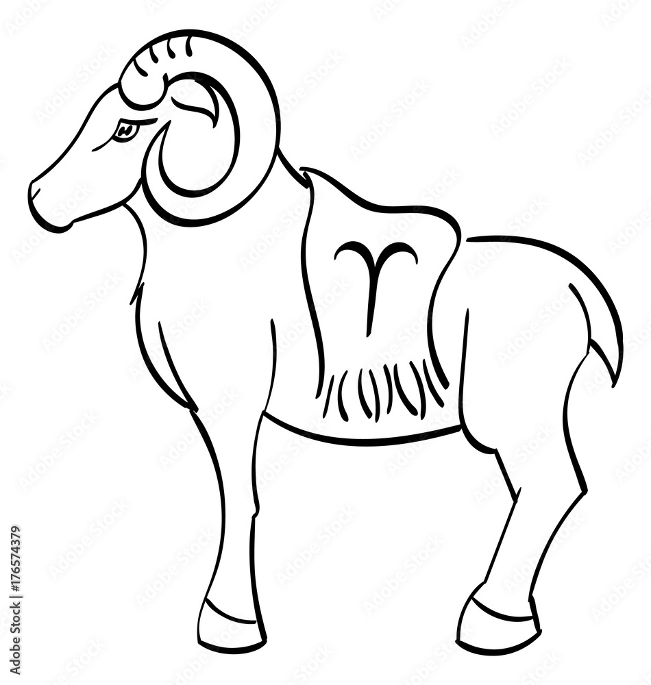 Aries - ram with a blanket on it showing the symbol for Aries. Outline ...