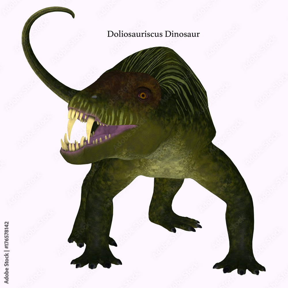 Doliosauriscus Dinosaur on White - Doliosauriscus is an extinct genus ...