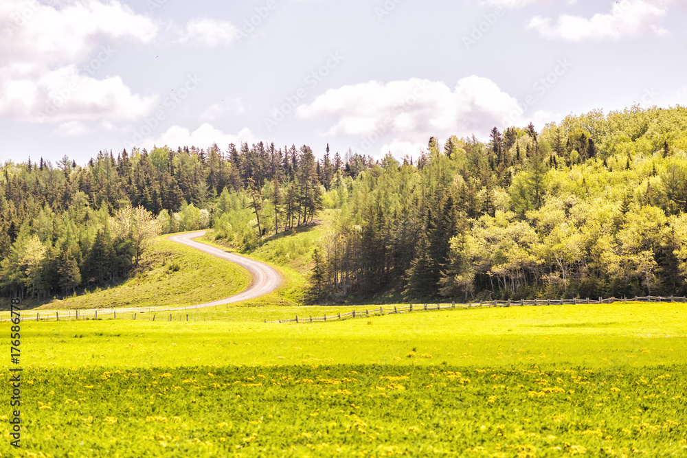 Open Fields To Forest