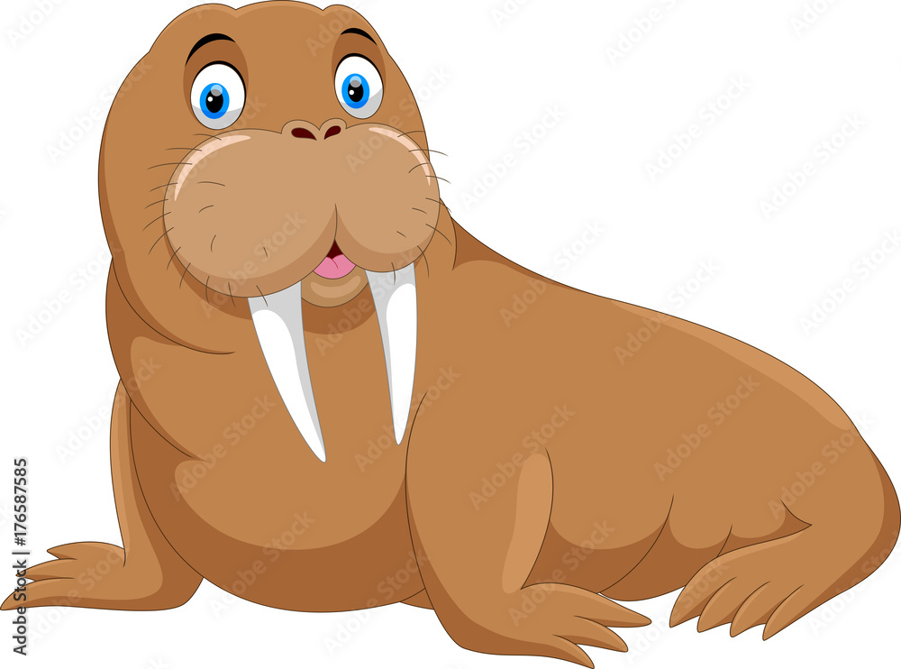 Vector illustration of cute cartoon walrus isolated on white background ...