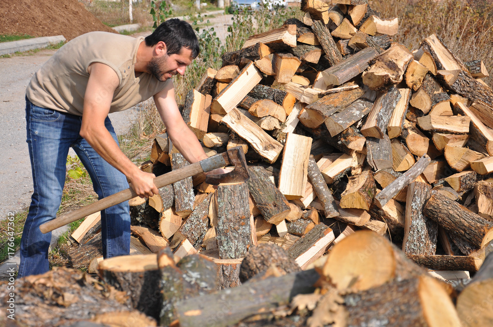 Lumberjack chopping wood for winter, Lumberjack chopping woods with old ...