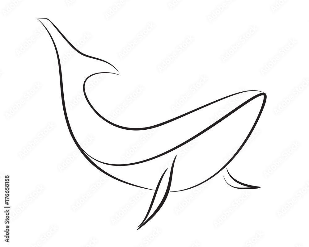 Black line whale on white background. Hand drawing vector graphic ...