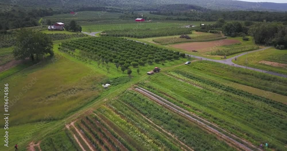 Aerial flying above the tomato fields following a tractor pulling a ...