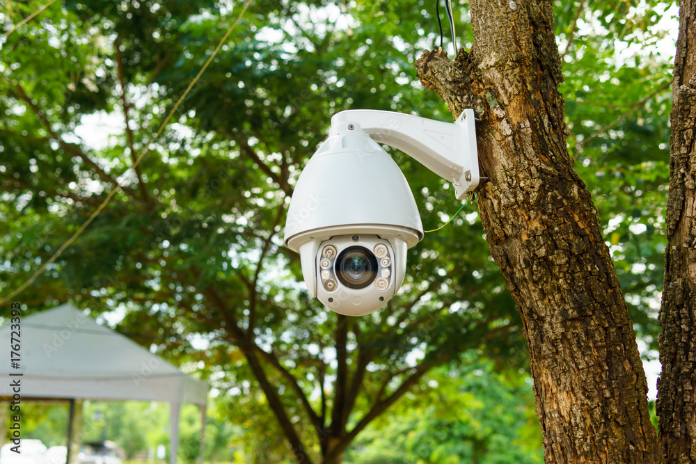 Photo & Art Print white security cctv camera installed on the branch of ...
