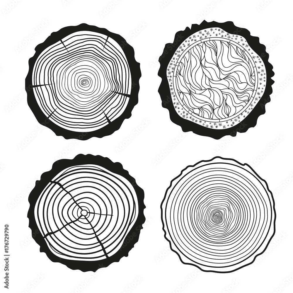 Tree rings. Mandala. Set of tree rings on isolation background ...