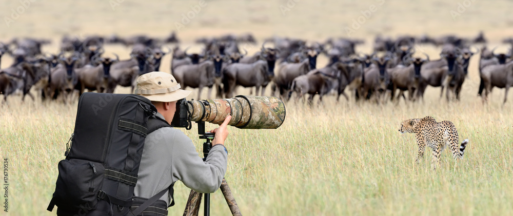Professional wildlife photographer Stock Photo | Adobe Stock