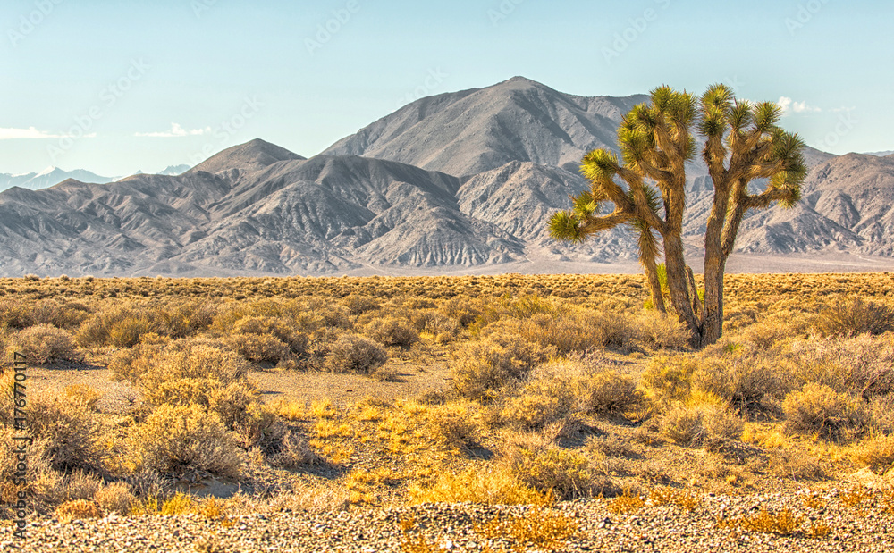Rural California Stock Photo | Adobe Stock
