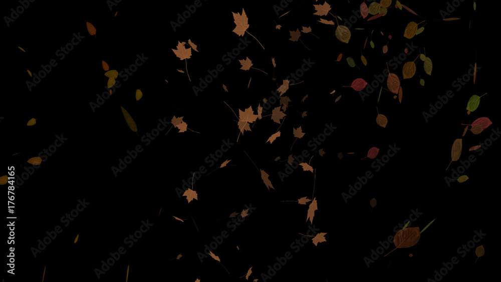 Autumn Leaves Falling Stock Template | Adobe Stock