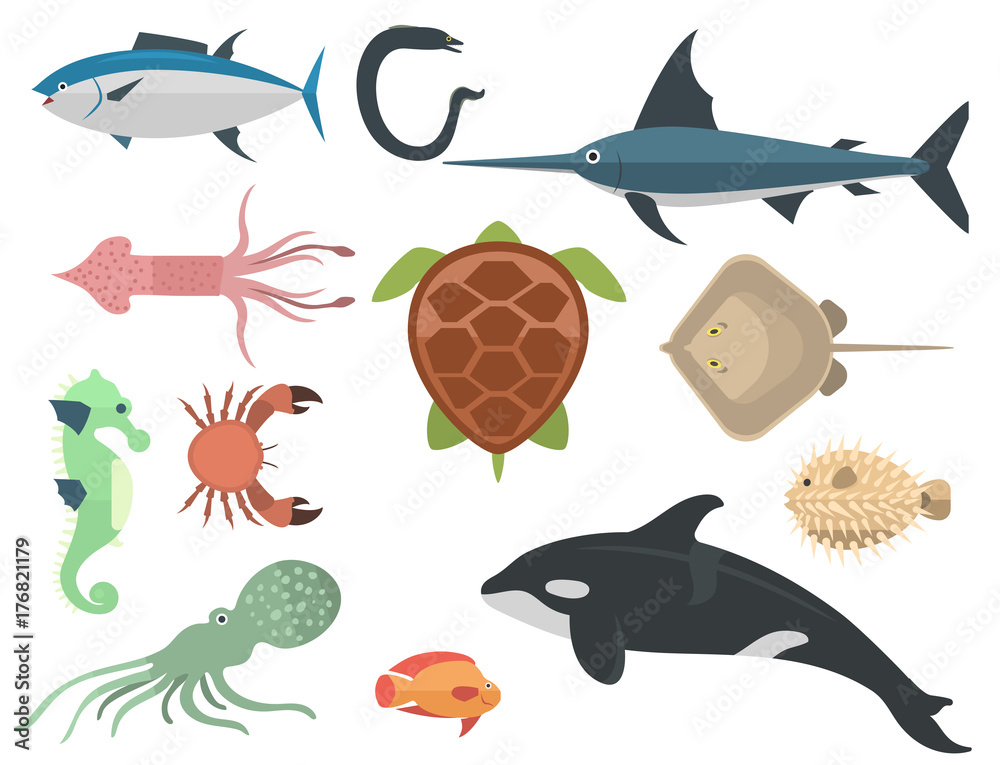Vector sea animals creatures characters cartoon ocean underwater ...