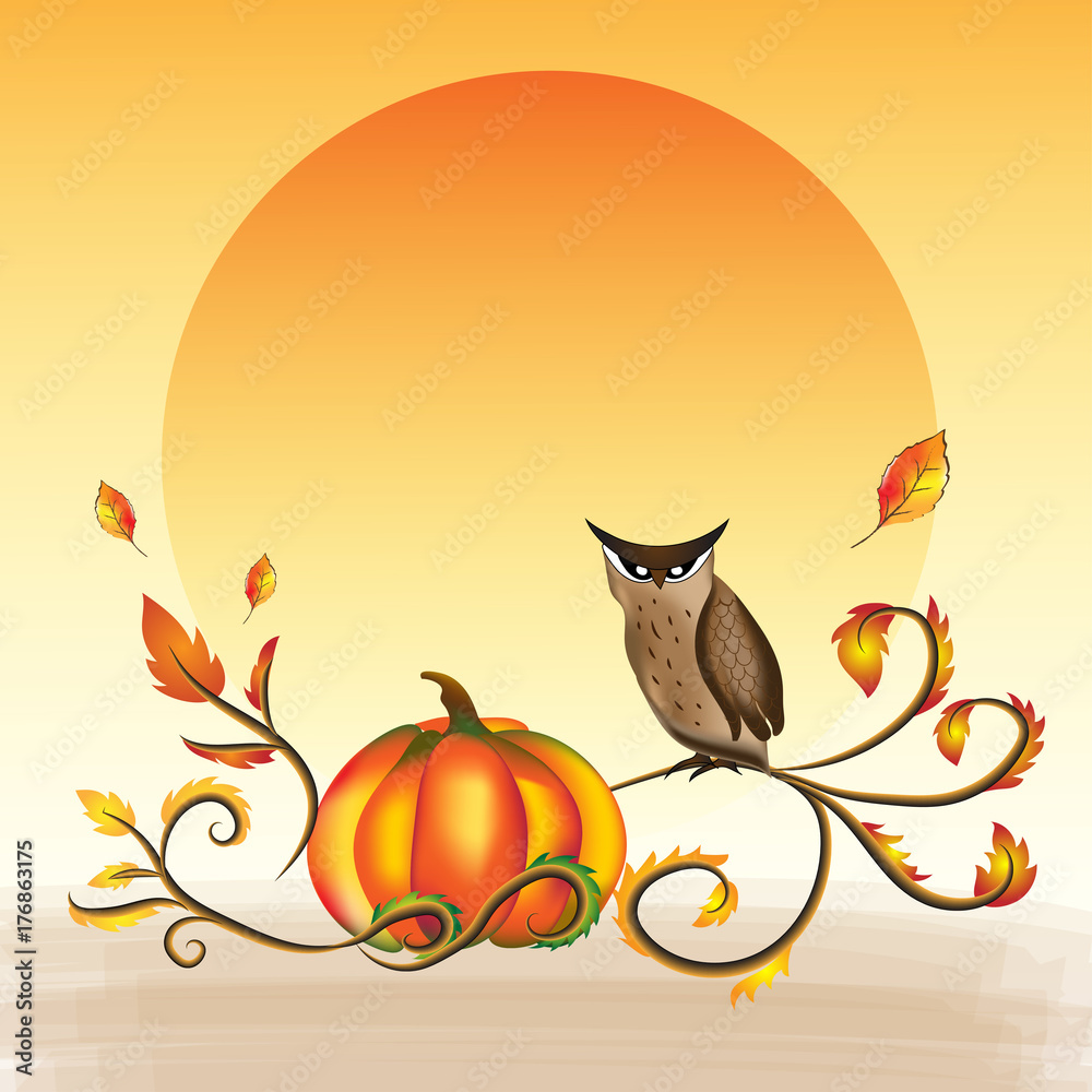 Cute Owl Fall Backgrounds