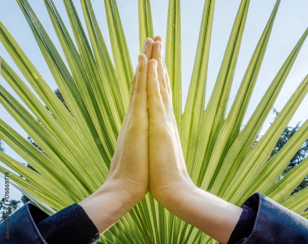 Raised hands pose (anjali mudra), palms pressing together at crown ...