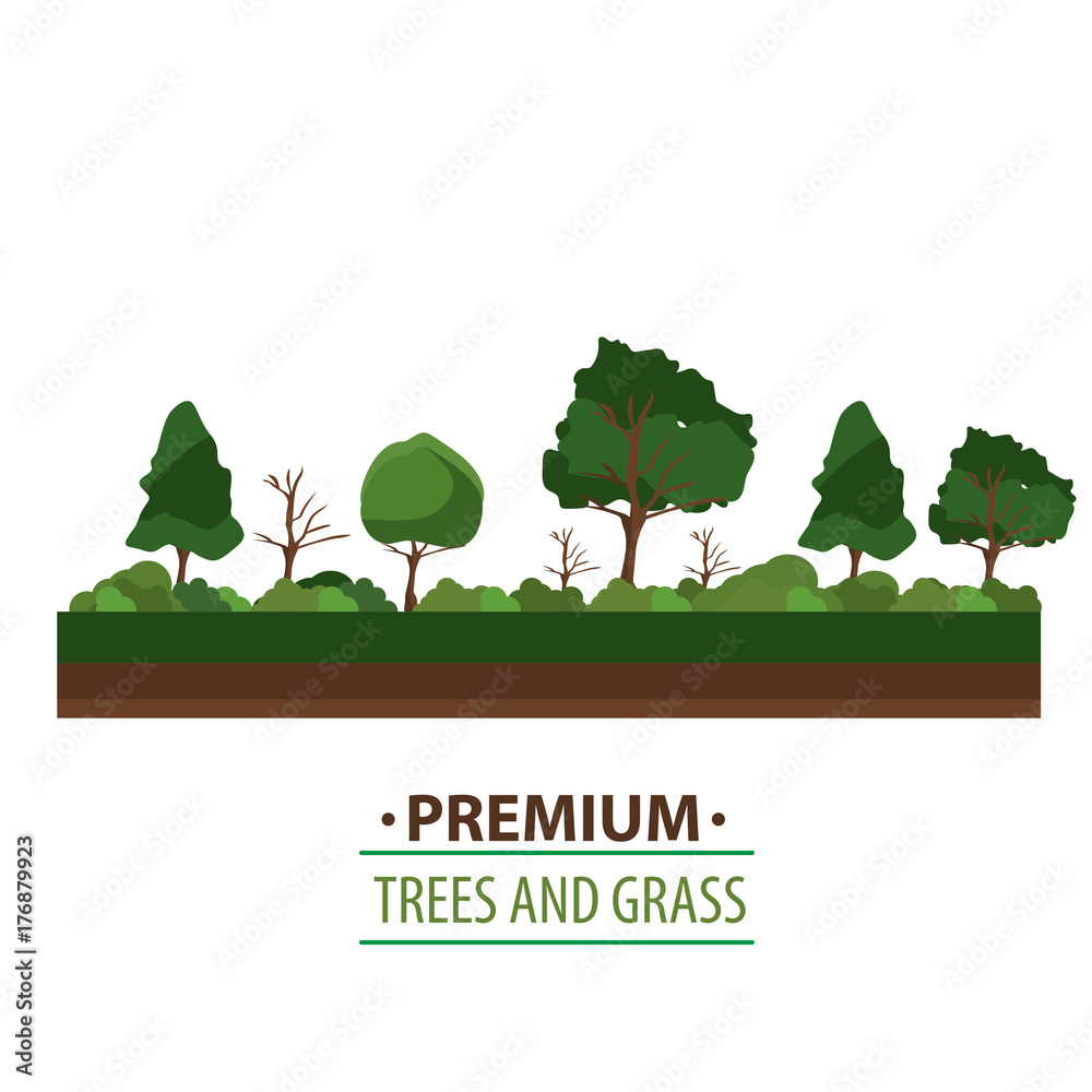 Diversity of trees set on white Stock Vector | Adobe Stock