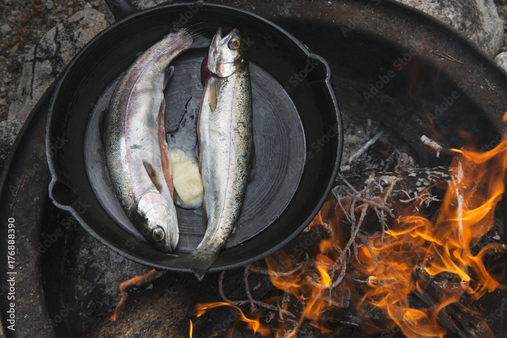 Fresh Caught Rainbow Trout Cooked Over Camp Fire Stock Photo | Adobe Stock