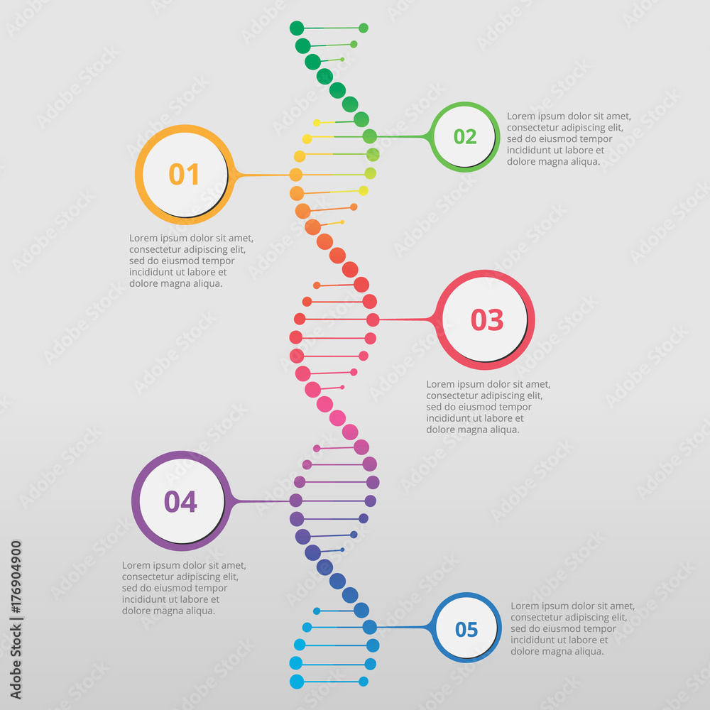 Abstract infographic DNA ,can be used for workflow layout, diagram ...