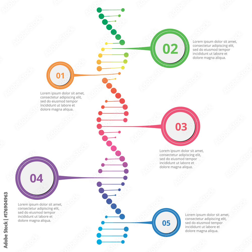 Abstract infographic DNA ,can be used for workflow layout, diagram ...