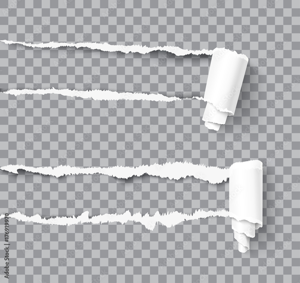 Torn paper realistic vector illustration Stock Vector | Adobe Stock