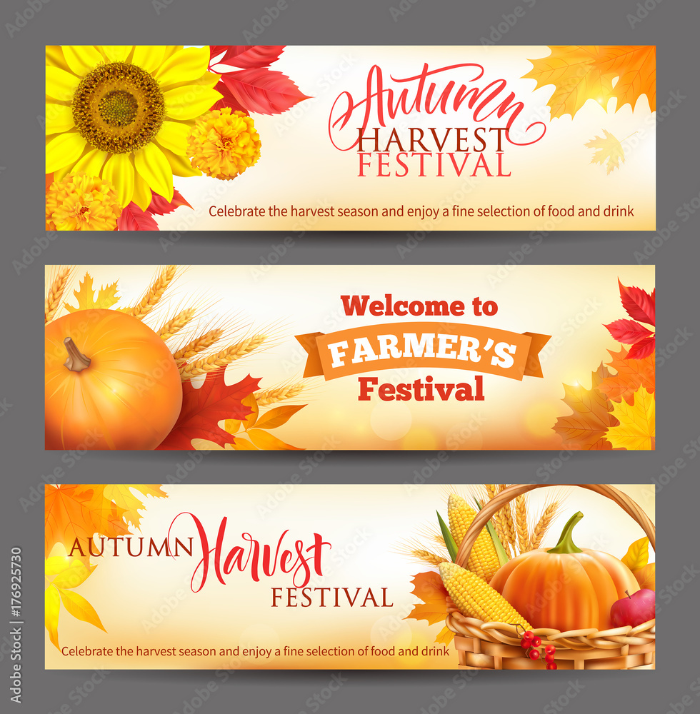Banners for Autumn Harvest Festival. Vector set. Stock Vector | Adobe Stock