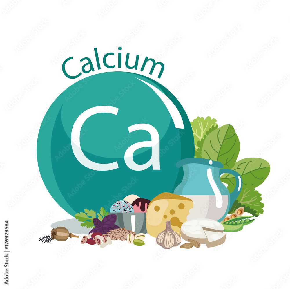 Calcium in food Stock Vector | Adobe Stock
