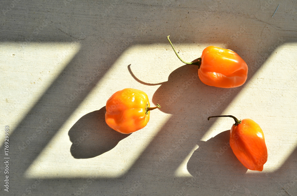 Habanero peppers in sunlight and shadow Stock Photo | Adobe Stock