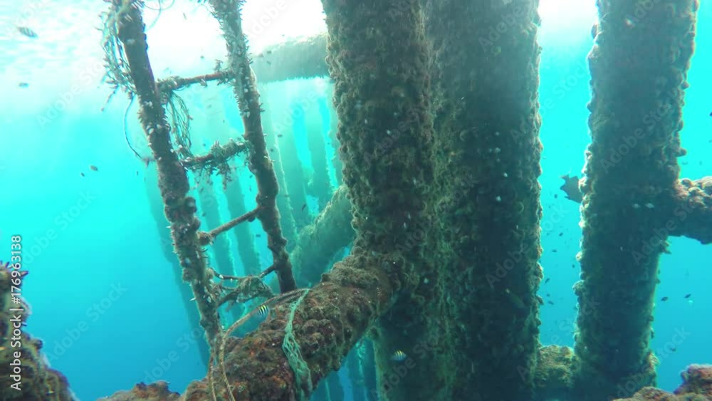 Fish swimming underneath a oil and gas wellhead platform. Driving under ...