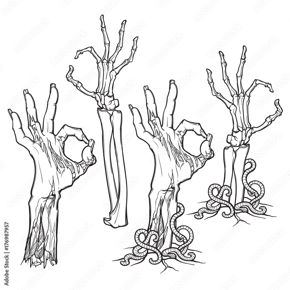 Zombie body language. OK Sign. Set of lifelike depicted rotting zombie ...