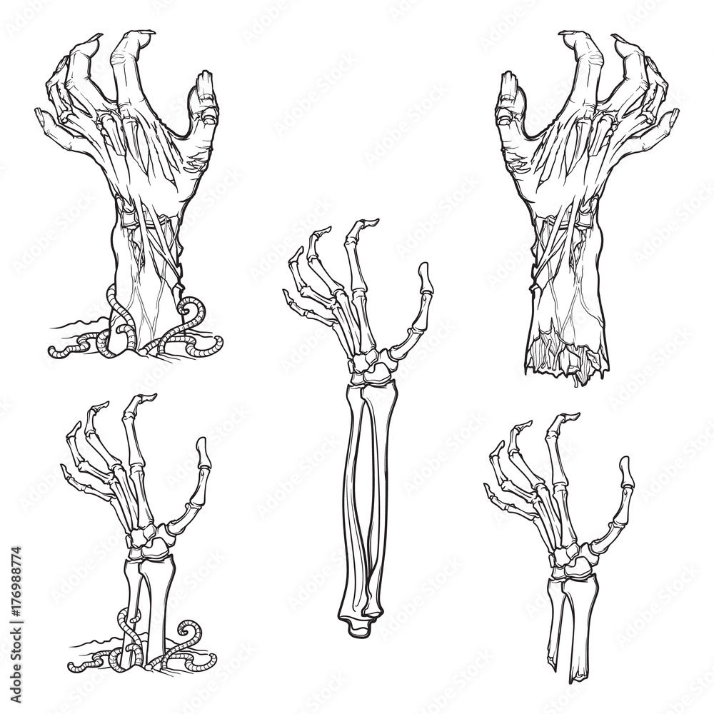 Set of lifelike depicted rotting zombie hands and skeleton hands rising ...