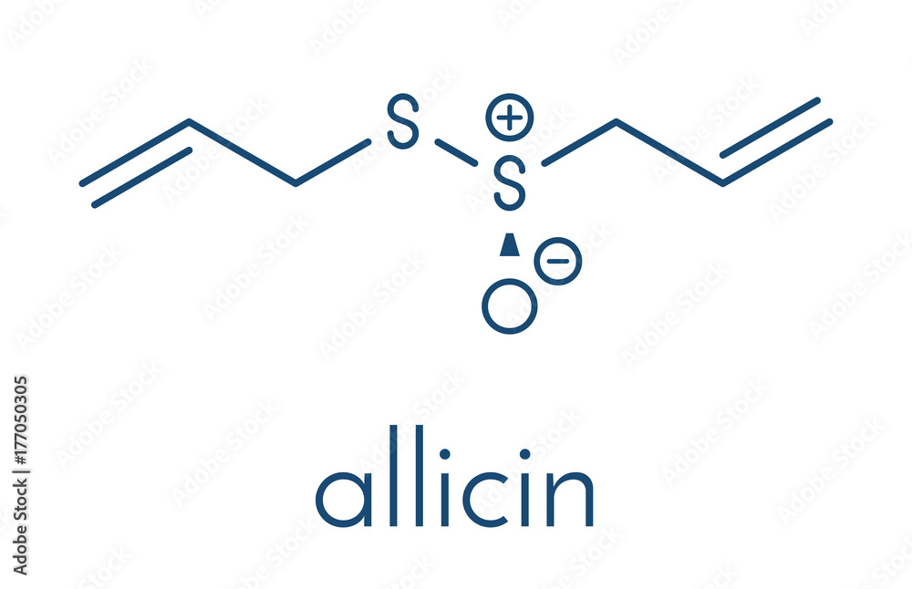 Allicin garlic molecule. Formed from alliin by the enzyme alliinase ...
