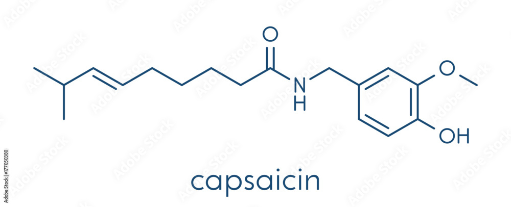 Capsaicin chili pepper molecule. Used in food, drugs, pepper spray, etc ...