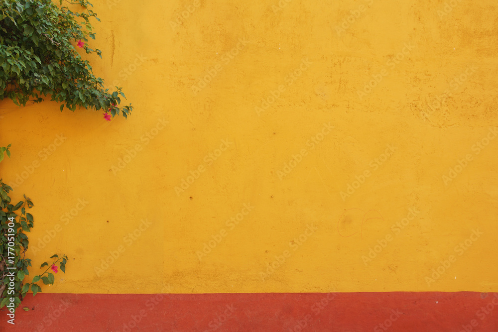 Mexican colonial yellow wall background with vine plant Stock Photo ...