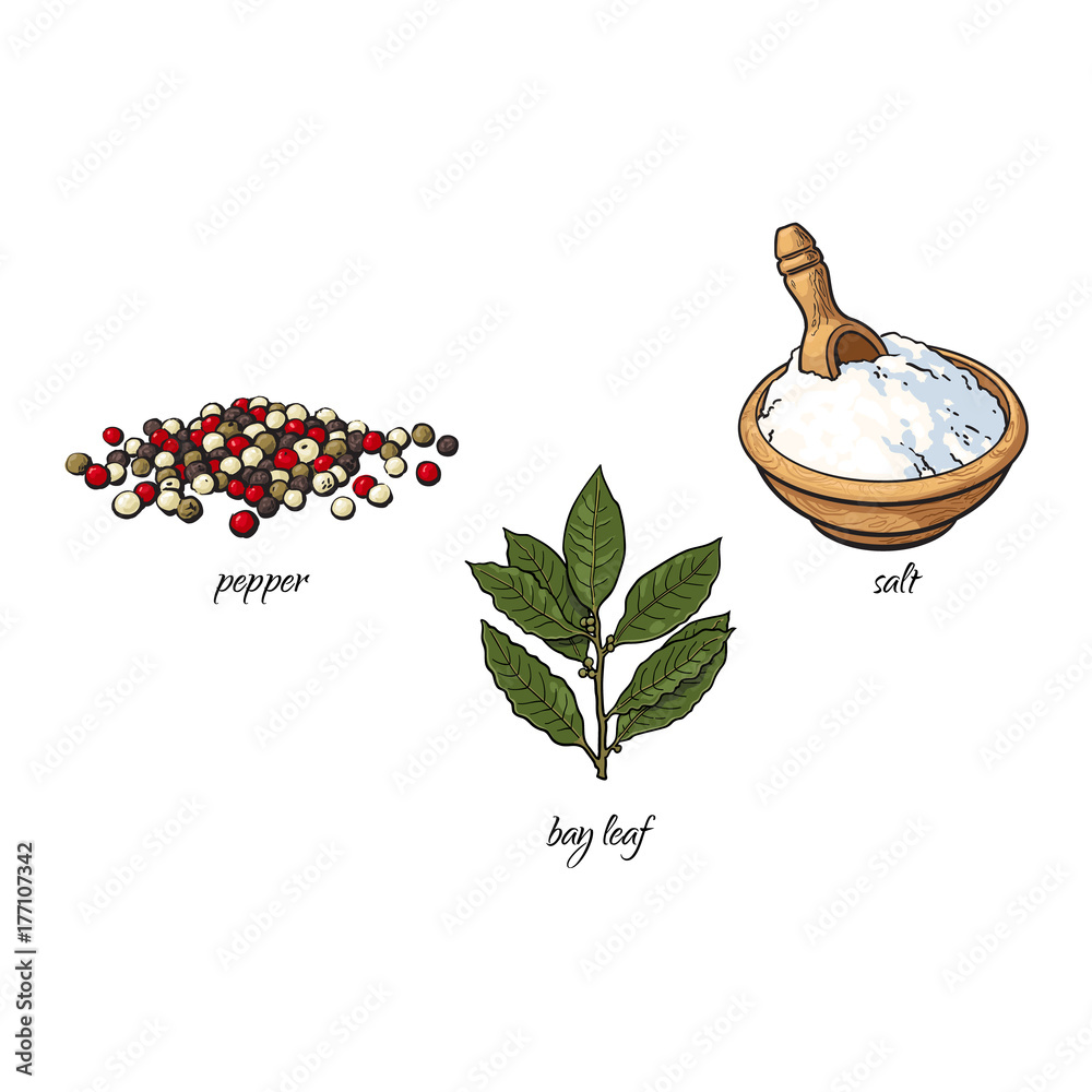 vector flat cartoon sketch hand drawn Spices, seasoning, flavorings and ...