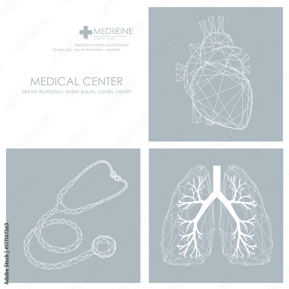 Human heart and lungs icon. Phonendoscope. Vector illustration. Stock ...