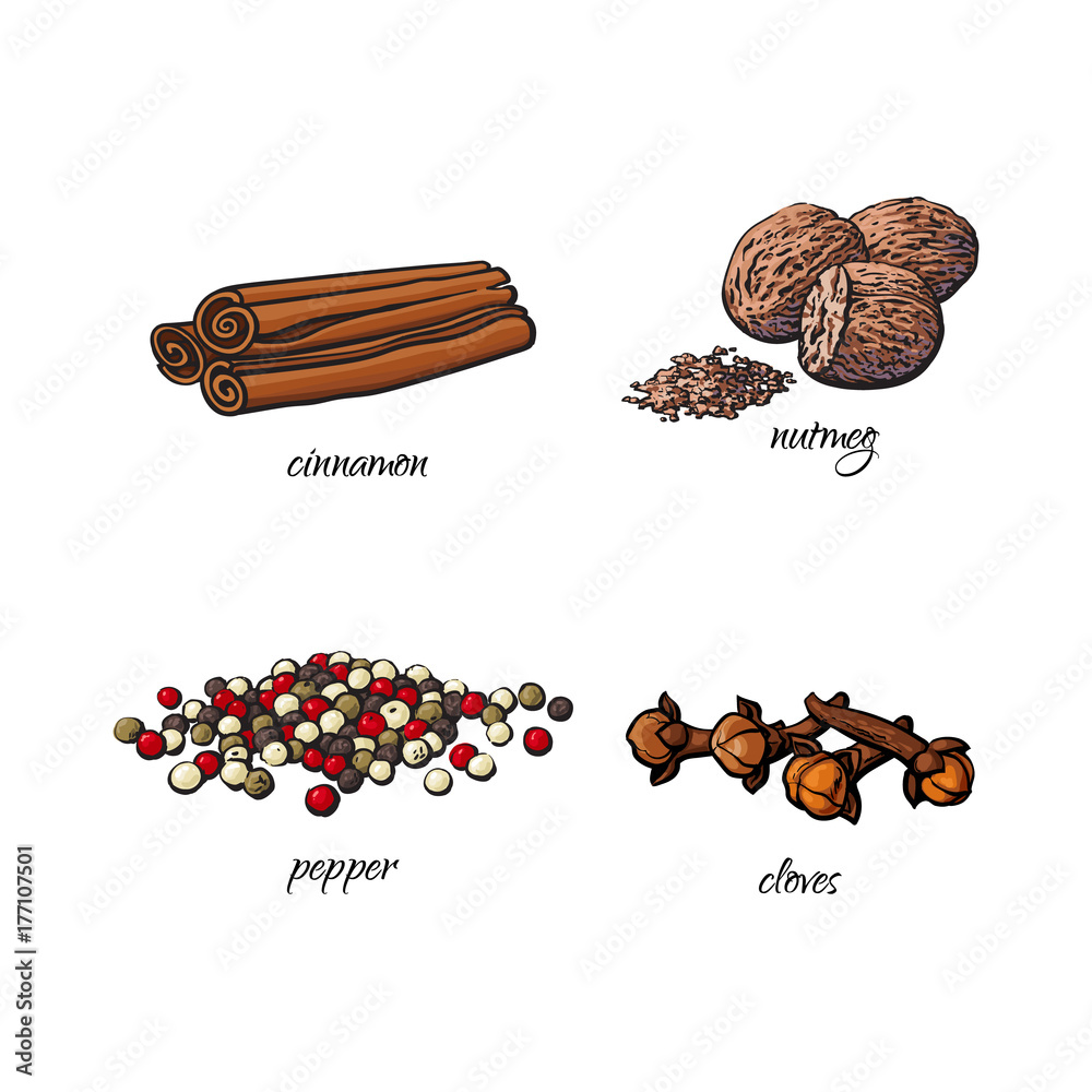 vector flat cartoon sketch hand drawn Spices, seasoning, flavorings and ...