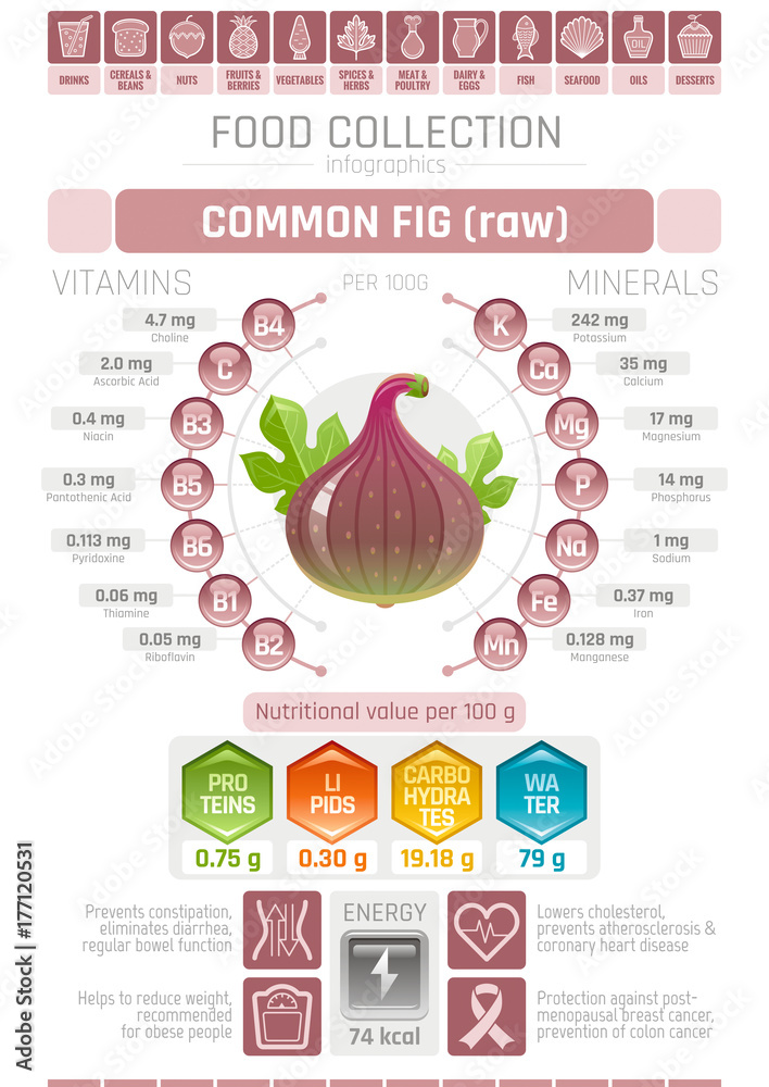 Food infographics poster, fig fruit vector illustration. Healthy eating ...
