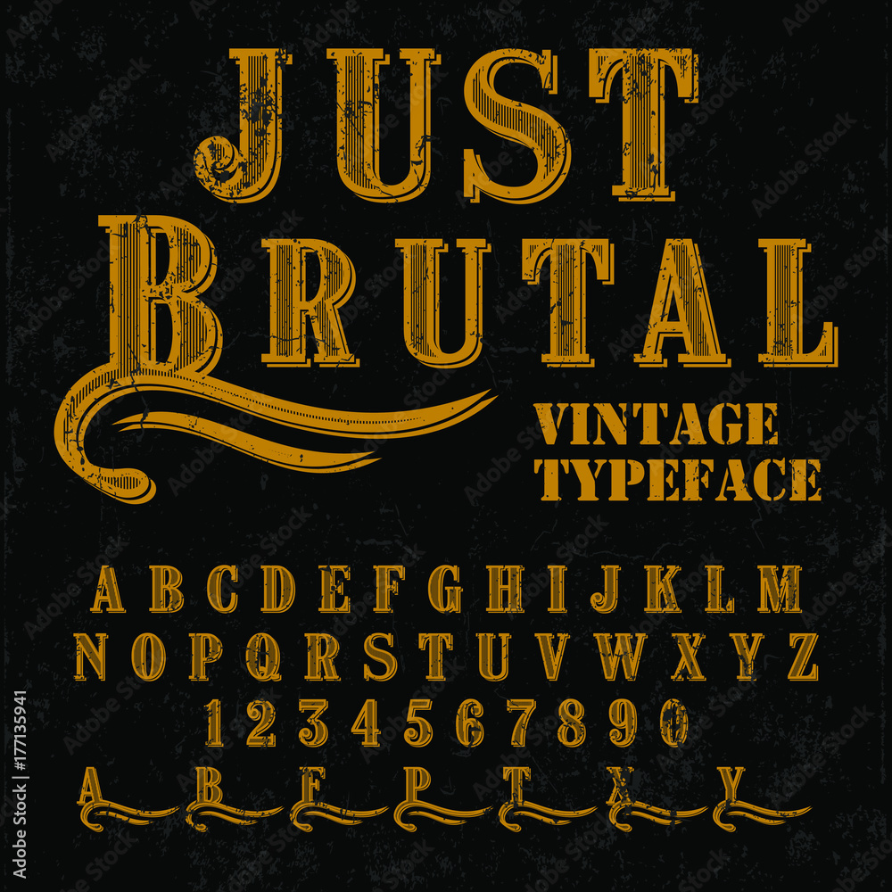 Vintage vector font - typeface design Stock Vector | Adobe Stock