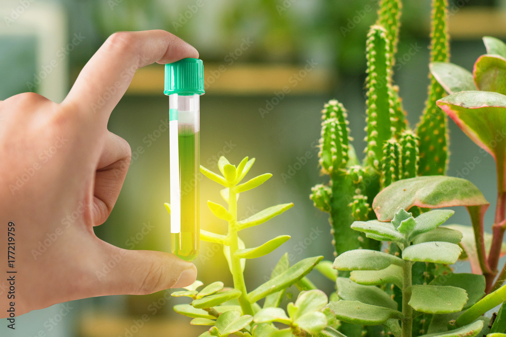 research herbal medicine at lab , test pharmaceutical with Shaker plant ...