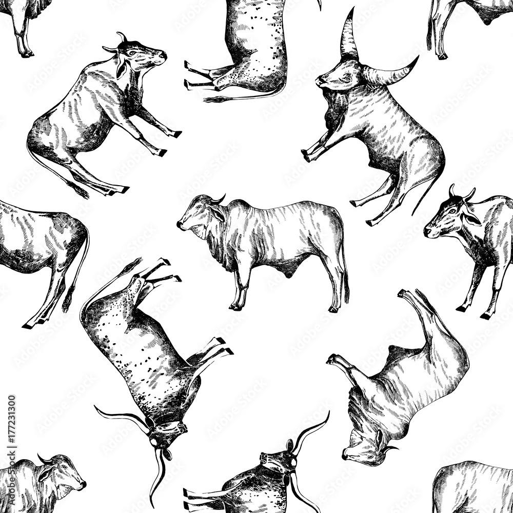 Seamless pattern of hand drawn sketch style cattle. Vector illustration ...