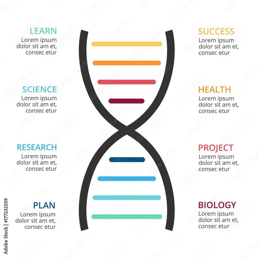 Vector DNA science infographic, medical diagram, healthcare graph ...
