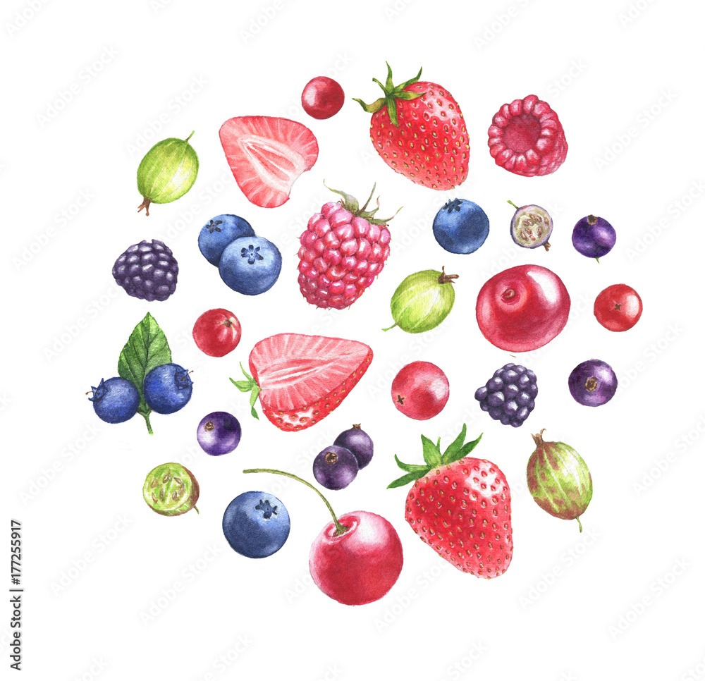 Hand drawn watercolor illustration of the different berries: Blueberry ...