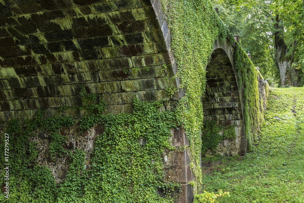 very old, historic bridge with high arches and green plants, Stock ...