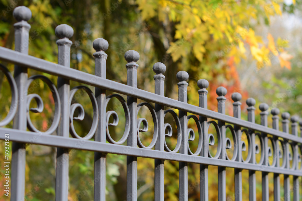 beautiful wrought fence. metal fence close up. Metal Forged Fence ...