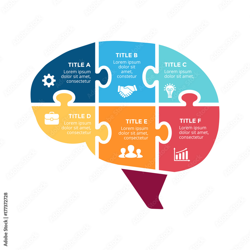 Vector brain infographic. Template for human head diagram, knowledge ...