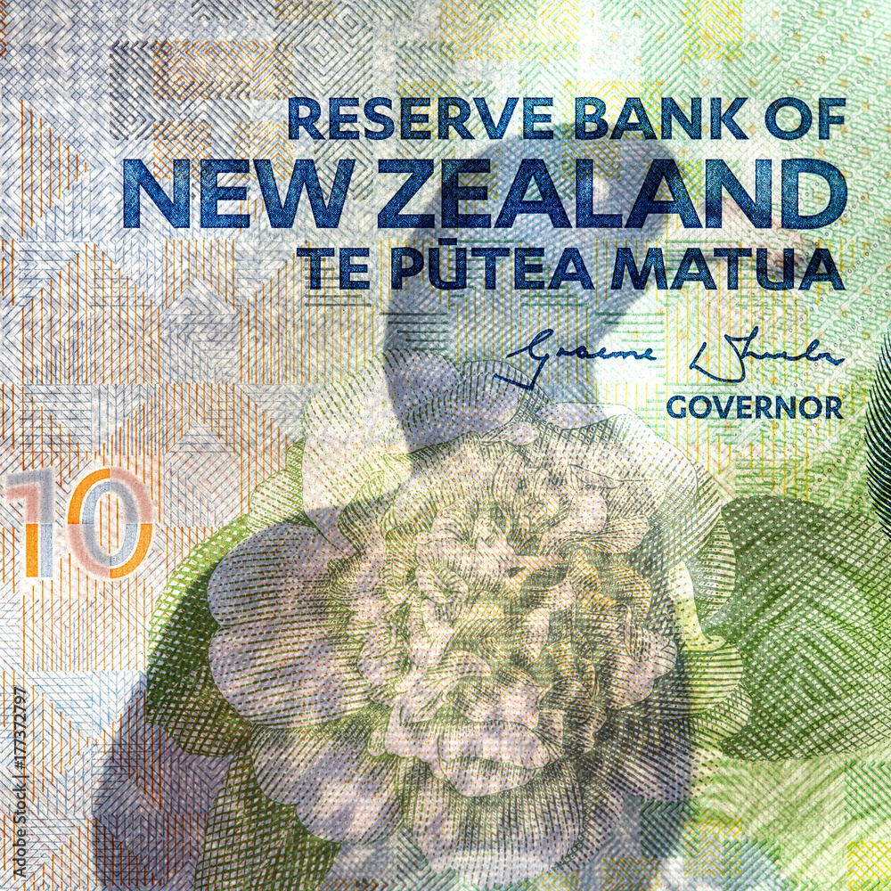 New Zealand Currency - Ten Dollar Bill in a square format Stock Photo ...