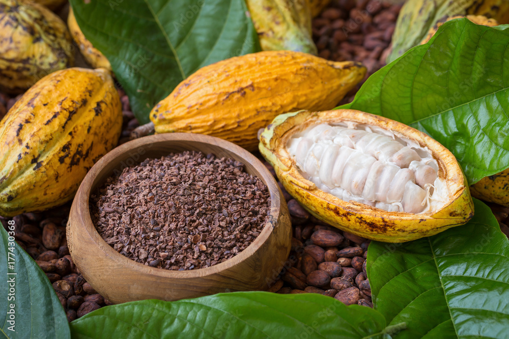 Ripe cocoa pod and nibs, cocoa beans setup background Stock Photo ...
